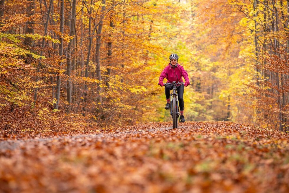 Fall Riding Essentials | Carlsbad e-Bikes & More | The Best e-Bikes ...